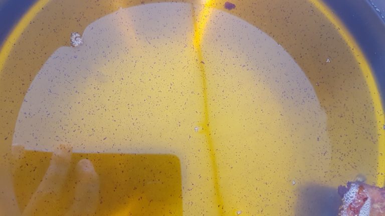 Rindertalg / Rinderfett selber machen - Chefupdate.de